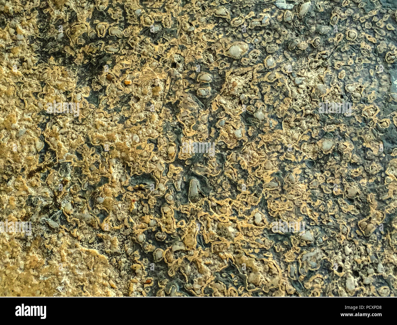 Golden rocks. Macro detail of rock wall texture. Rock texture. Stone ...