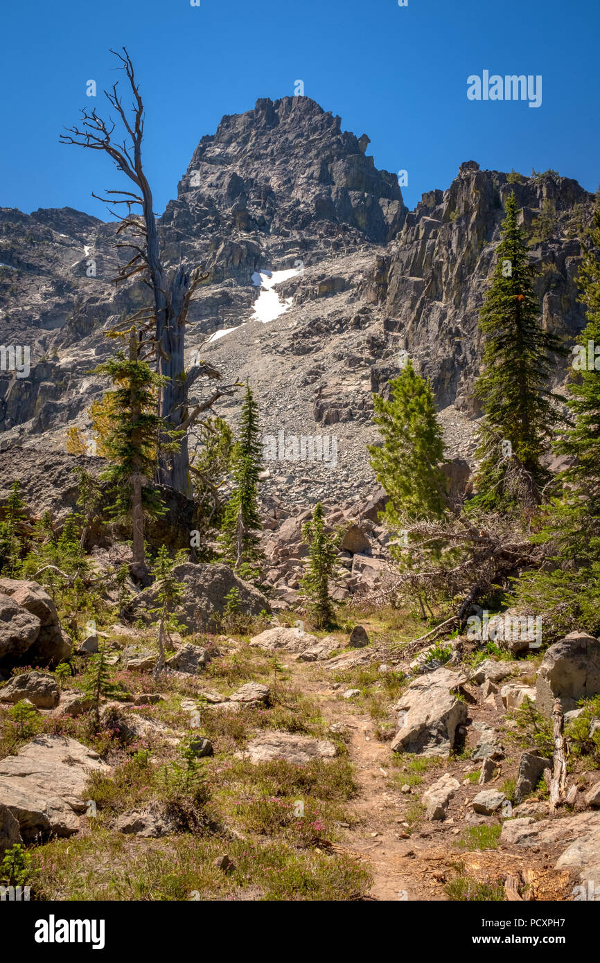 Wilderness trail leads to the He Devil in Central Idaho Stock Photo - Alamy
