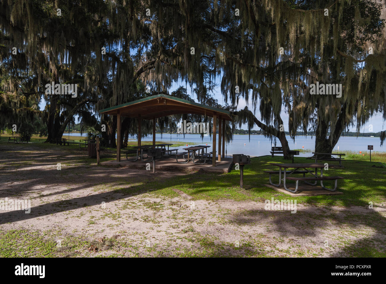 Are Dogs Allowed At Carney Island