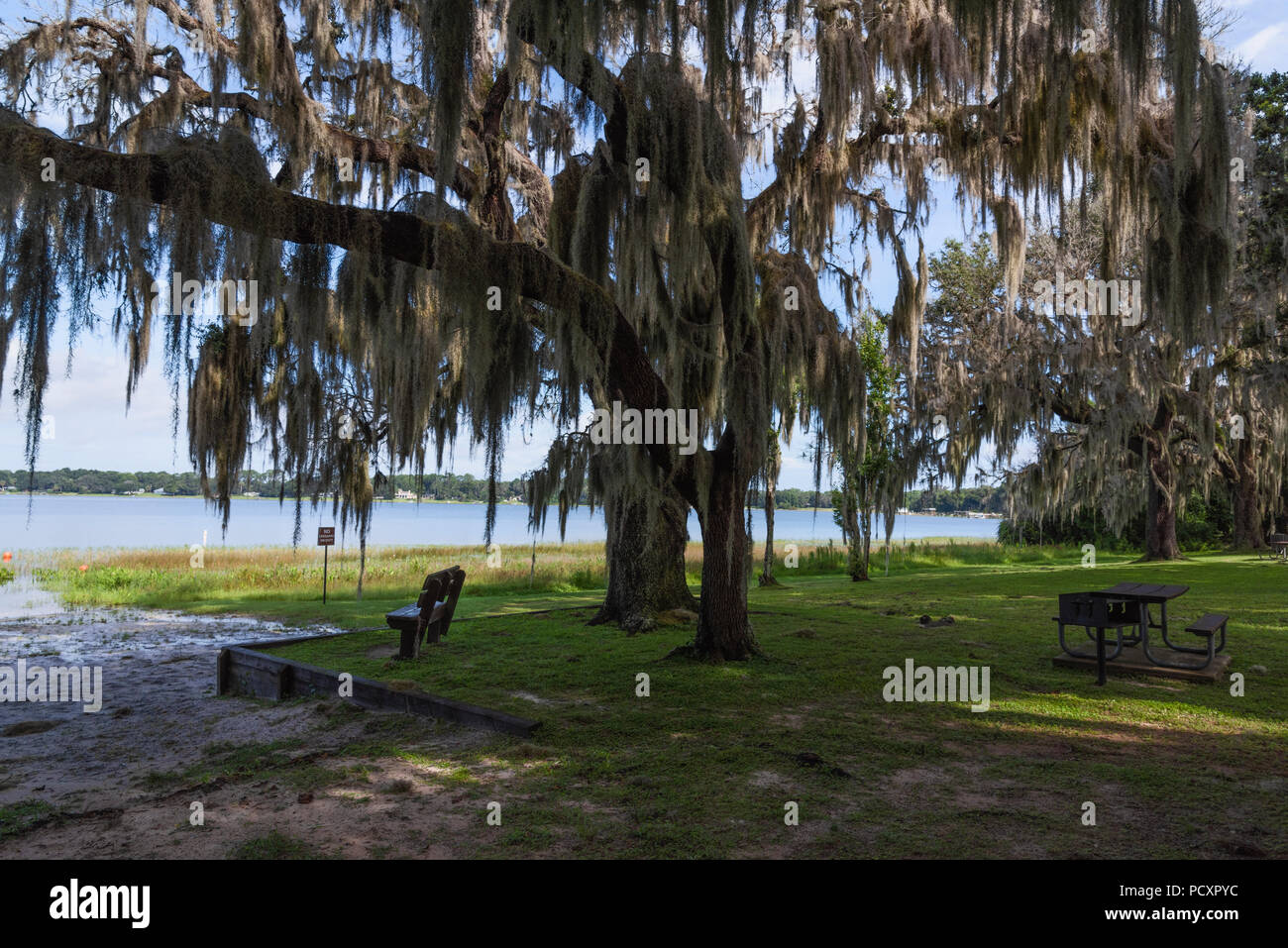 Carney Island Conservation Area in Ocklawaha, Florida USA Stock Photo ...