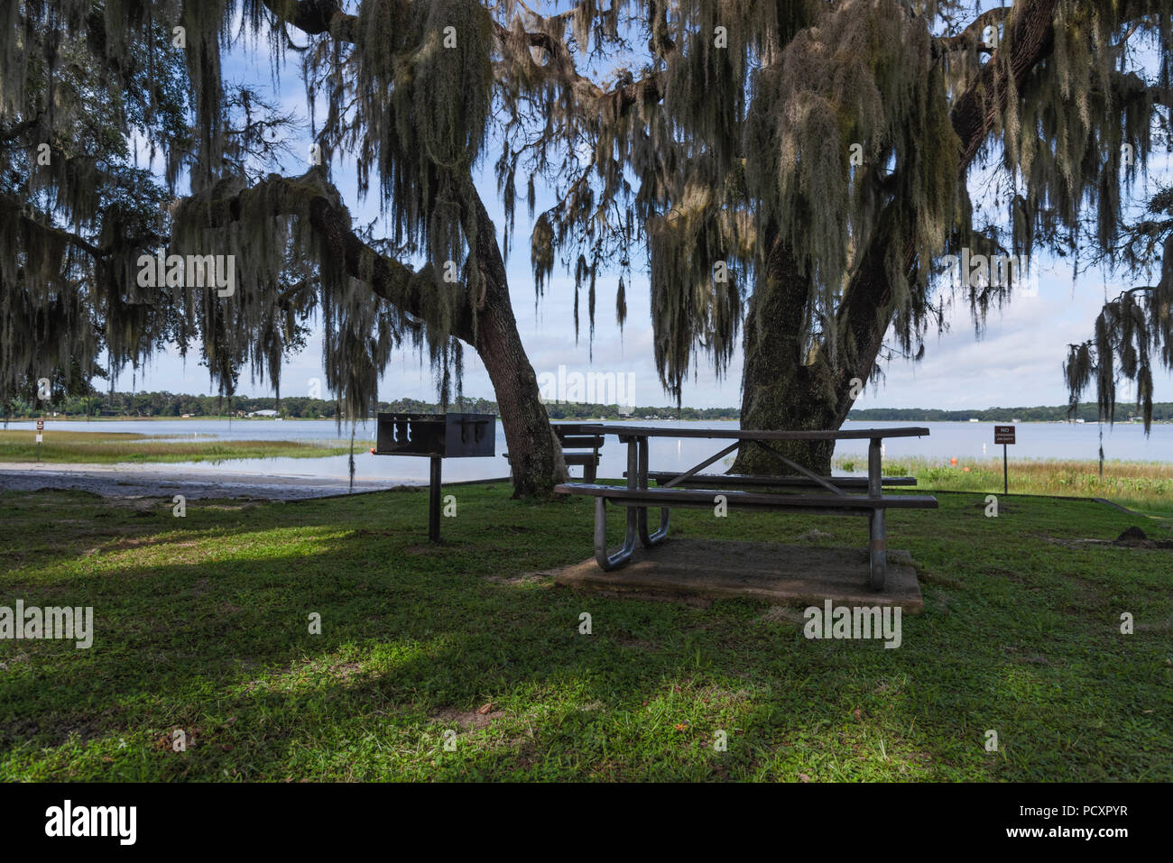 Are Dogs Allowed At Carney Island