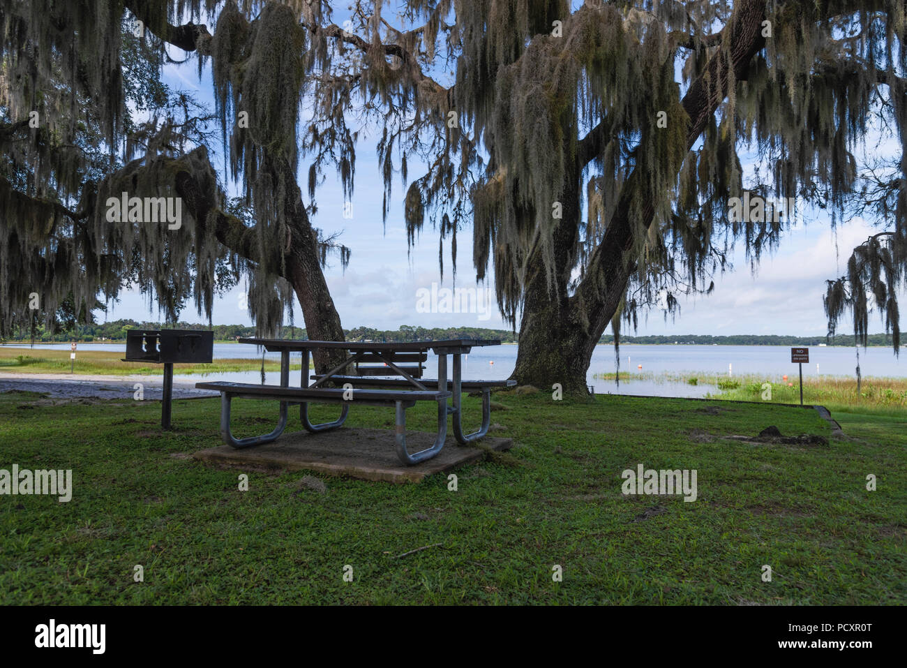 Carney Island Conservation Area in Ocklawaha, Florida USA Stock Photo ...