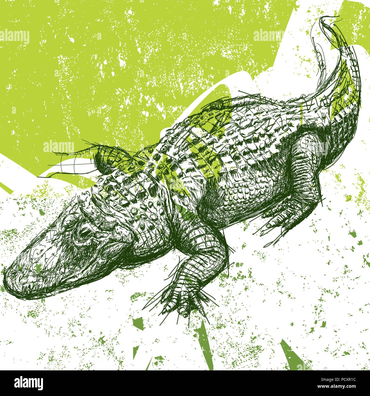 Alligator vector vectors hi-res stock photography and images - Alamy