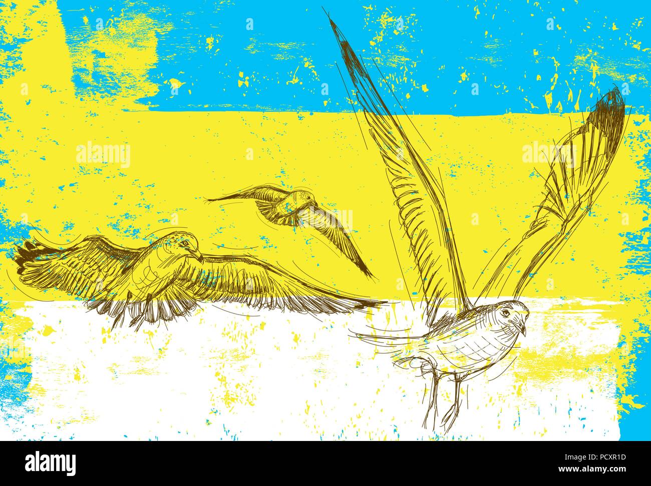 Flying seagull drawing hi-res stock photography and images - Alamy