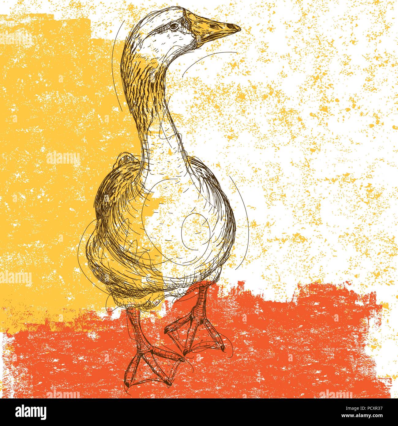 Curious goose Stock Vector Images - Alamy