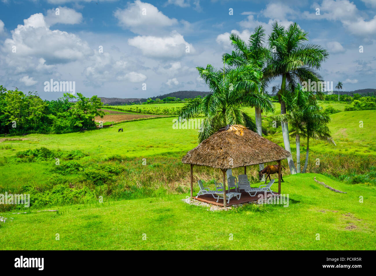 Green farmlands in Matanzas, Cuba Stock Photo - Alamy