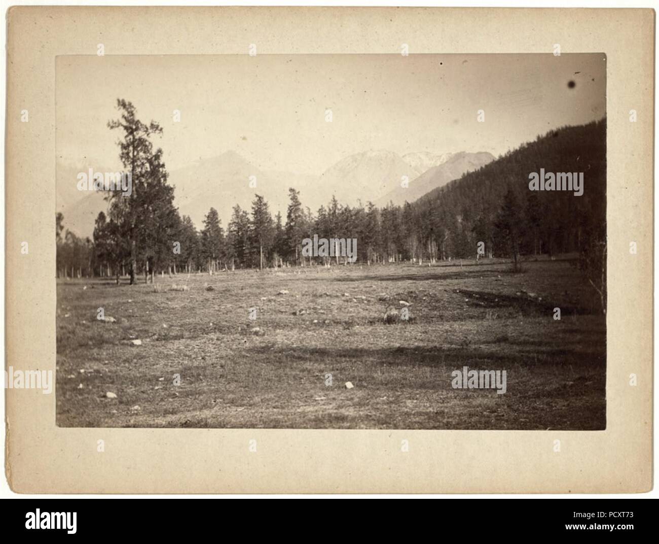 Altai artwork hi-res stock photography and images - Alamy