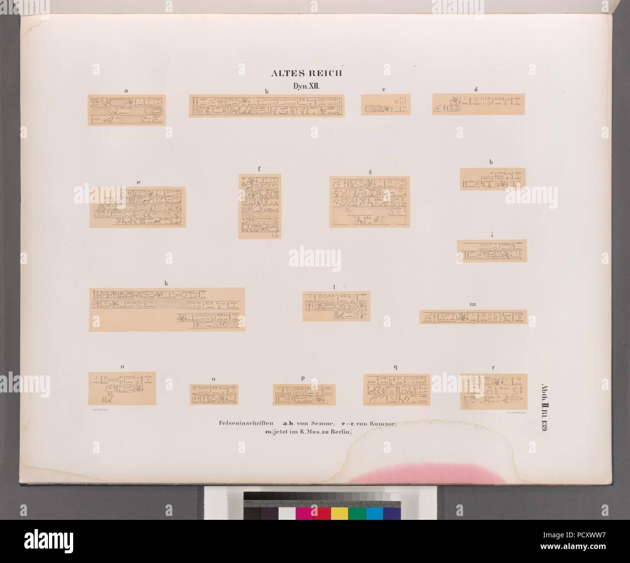 Kumma hi-res stock photography and images - Alamy