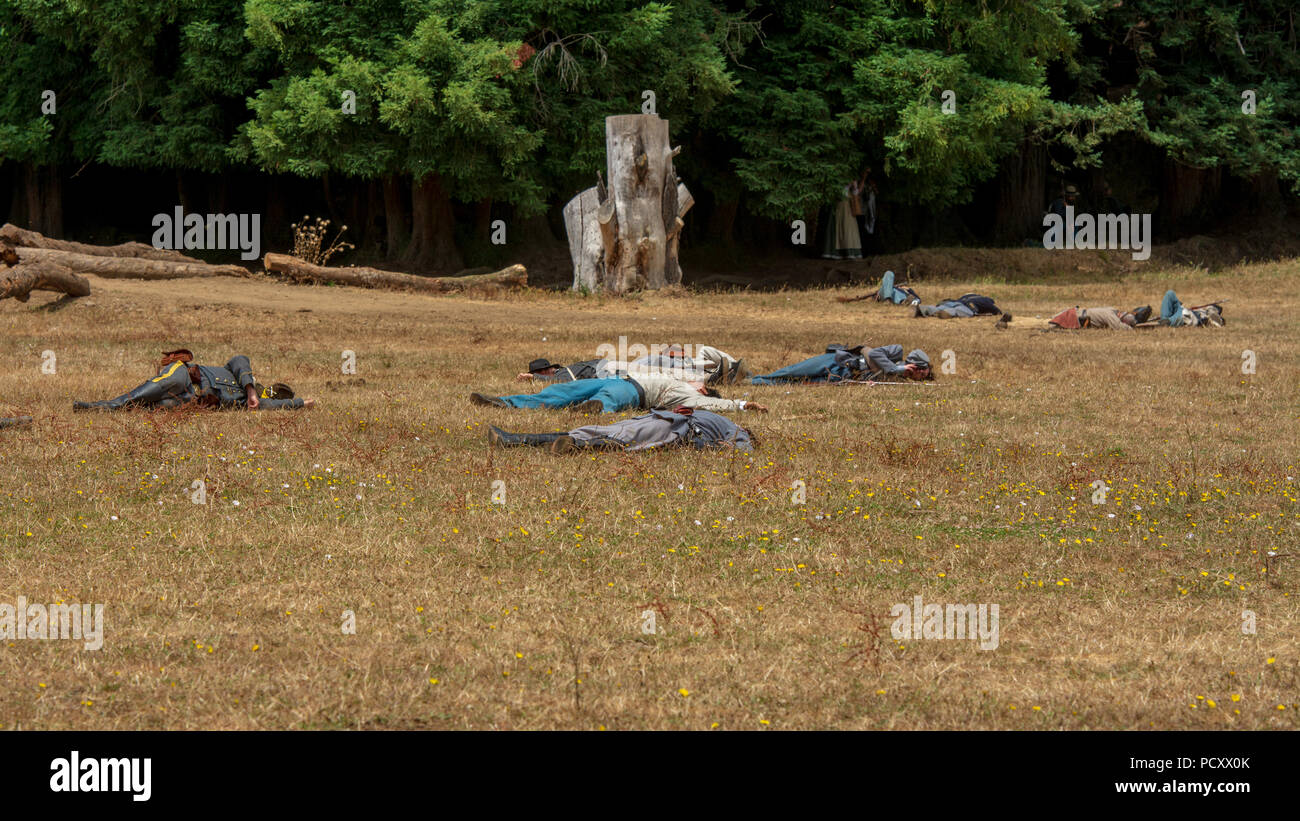 Duncan Mills, CA - July 14, 2018: A field with wounded and dead ...