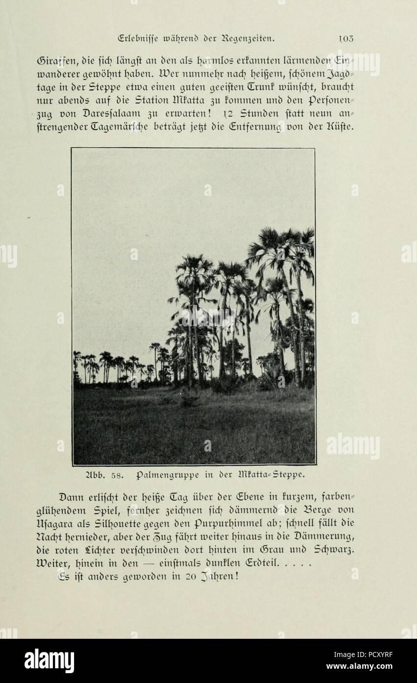 Tendaguru hi-res stock photography and images - Alamy