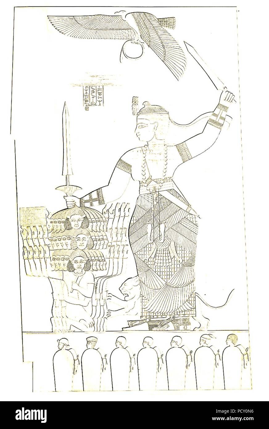 Amanitore hi-res stock photography and images - Alamy