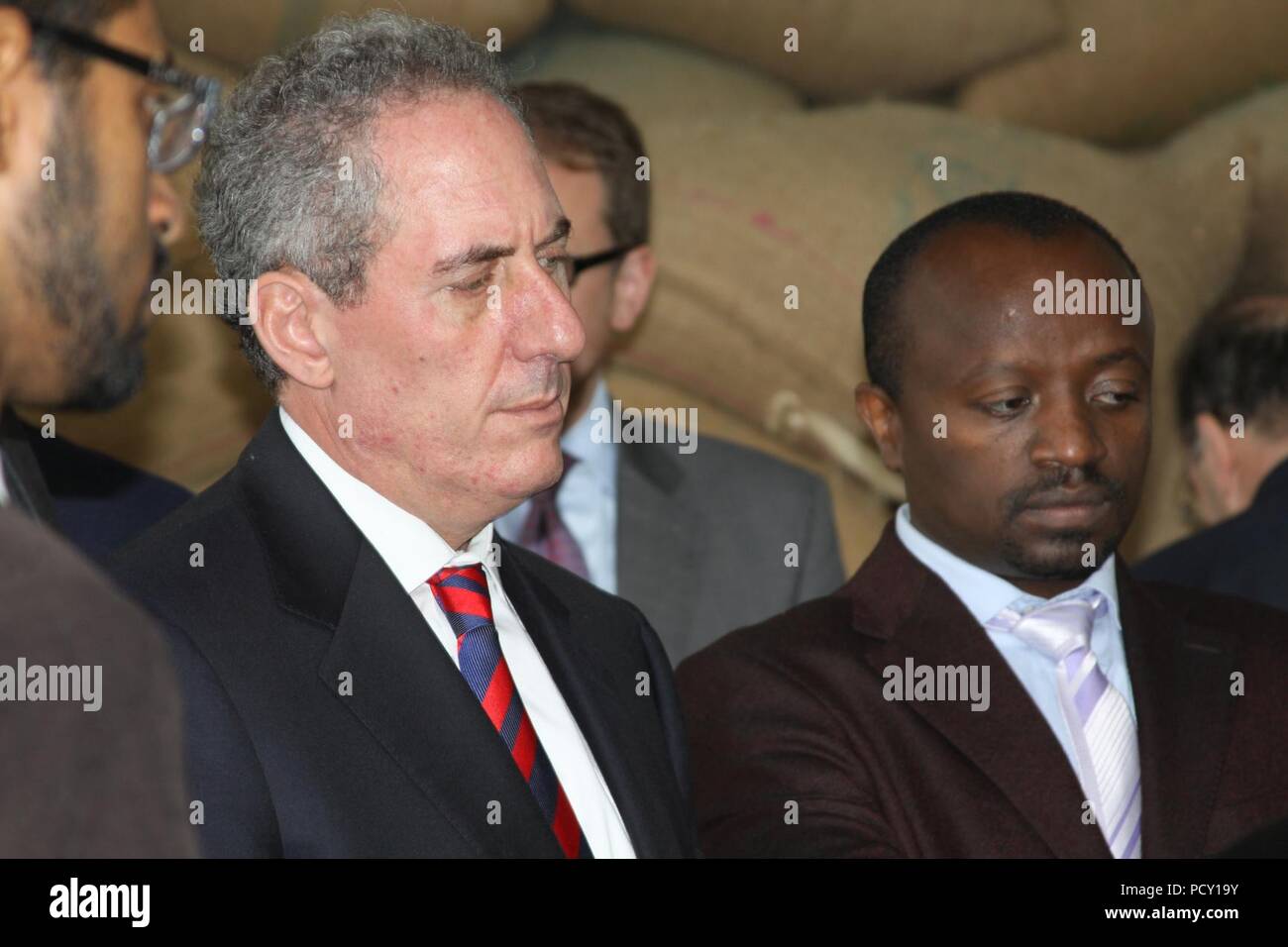 Aleta hi-res stock photography and images - Alamy