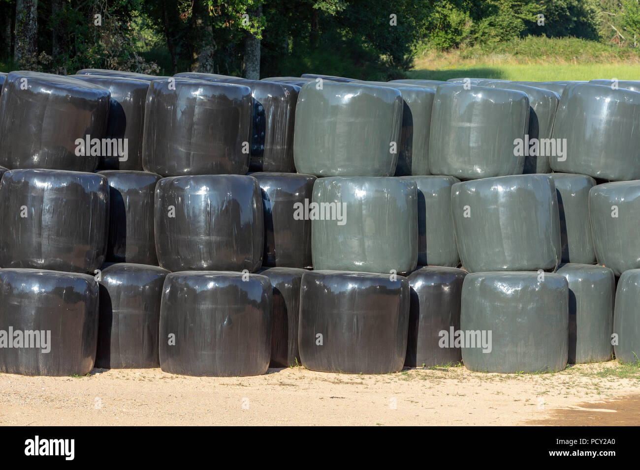 Baleage hi-res stock photography and images - Alamy