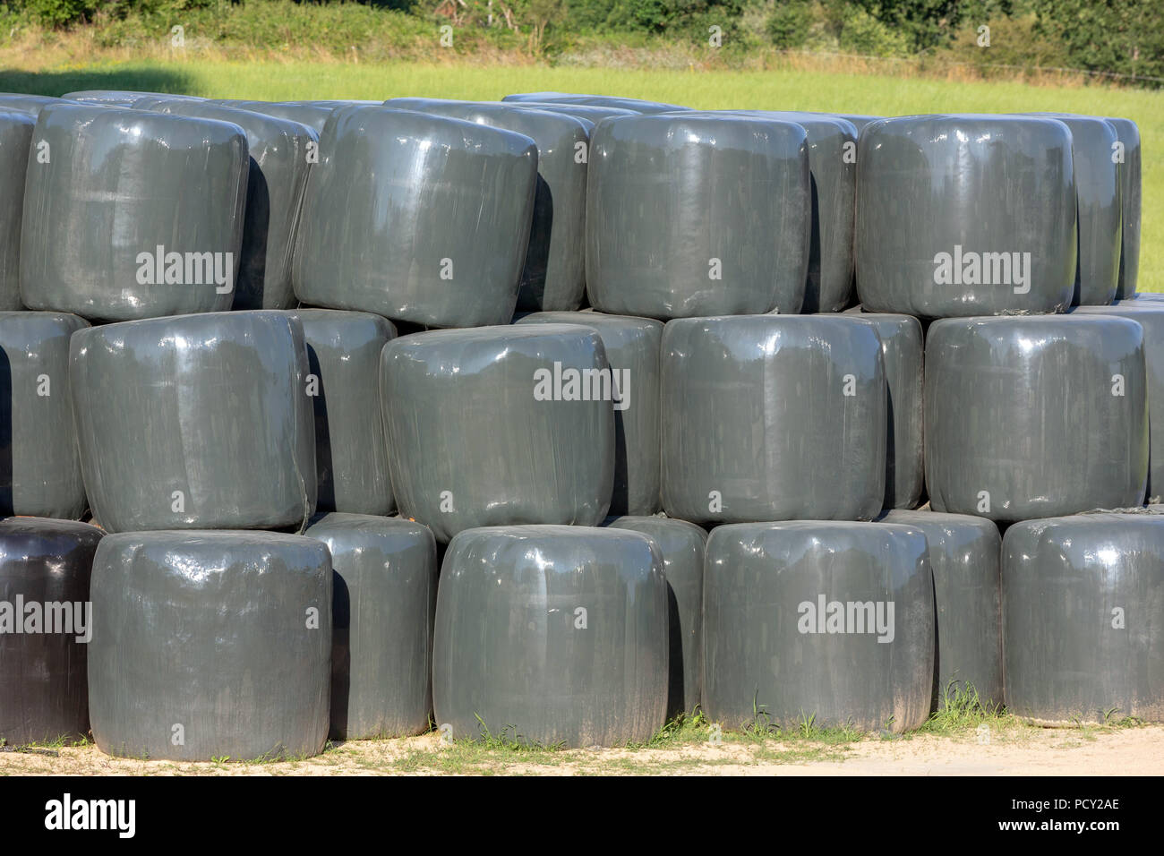 Stacked round silage bales wrapped in black and grey film to be used ...