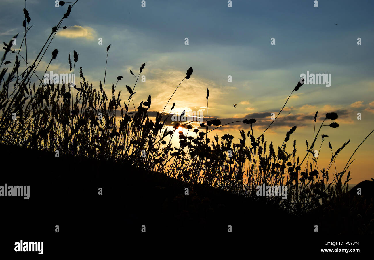Sunset over sea, Cornwall Stock Photo - Alamy