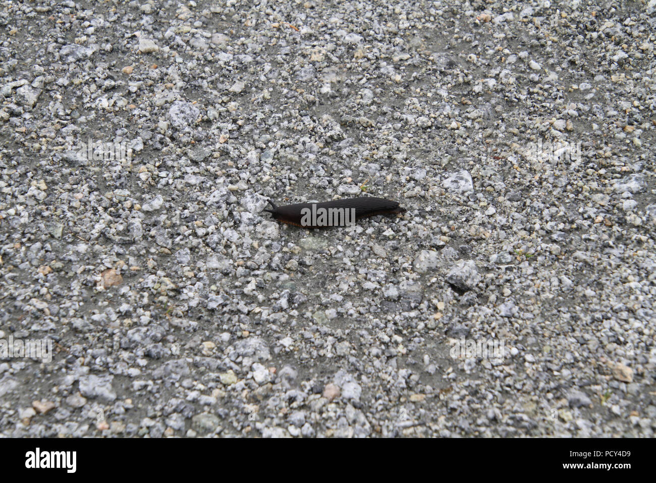 Crushed gravel hi-res stock photography and images - Alamy