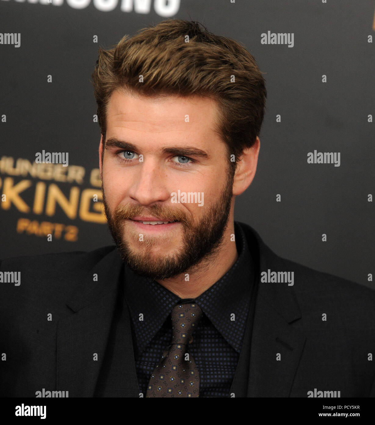 NEW YORK, NY - NOVEMBER 18: Josh Hutcherson, Liam Hemsworth attends the ...