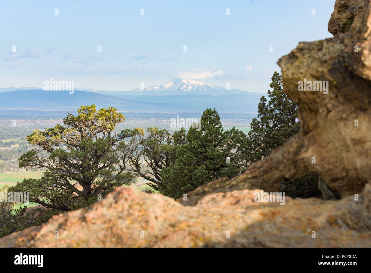 Mount Jefferson volcano seen from Smith Rock trail, with pine trees and ...