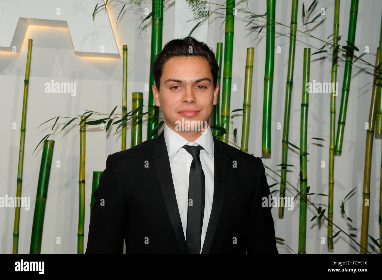 NEW YORK, NY - JUNE 02: Jake T. Austin attends the 2015 Museum of ...