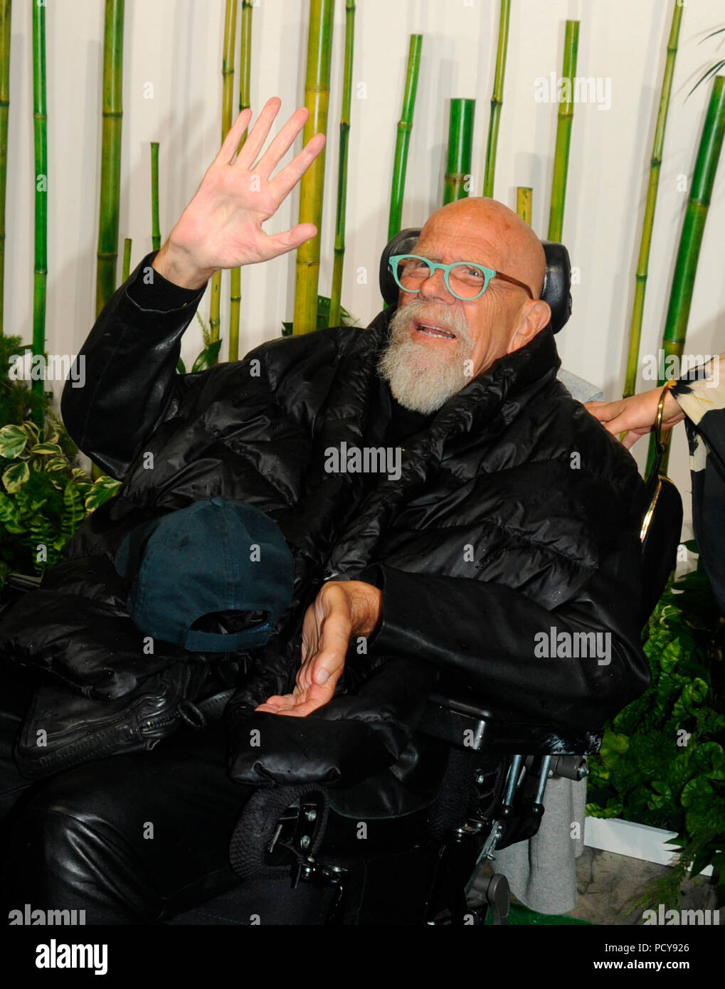 NEW YORK, NY - JUNE 02: Chuck Close attends the 2015 Museum of Modern ...