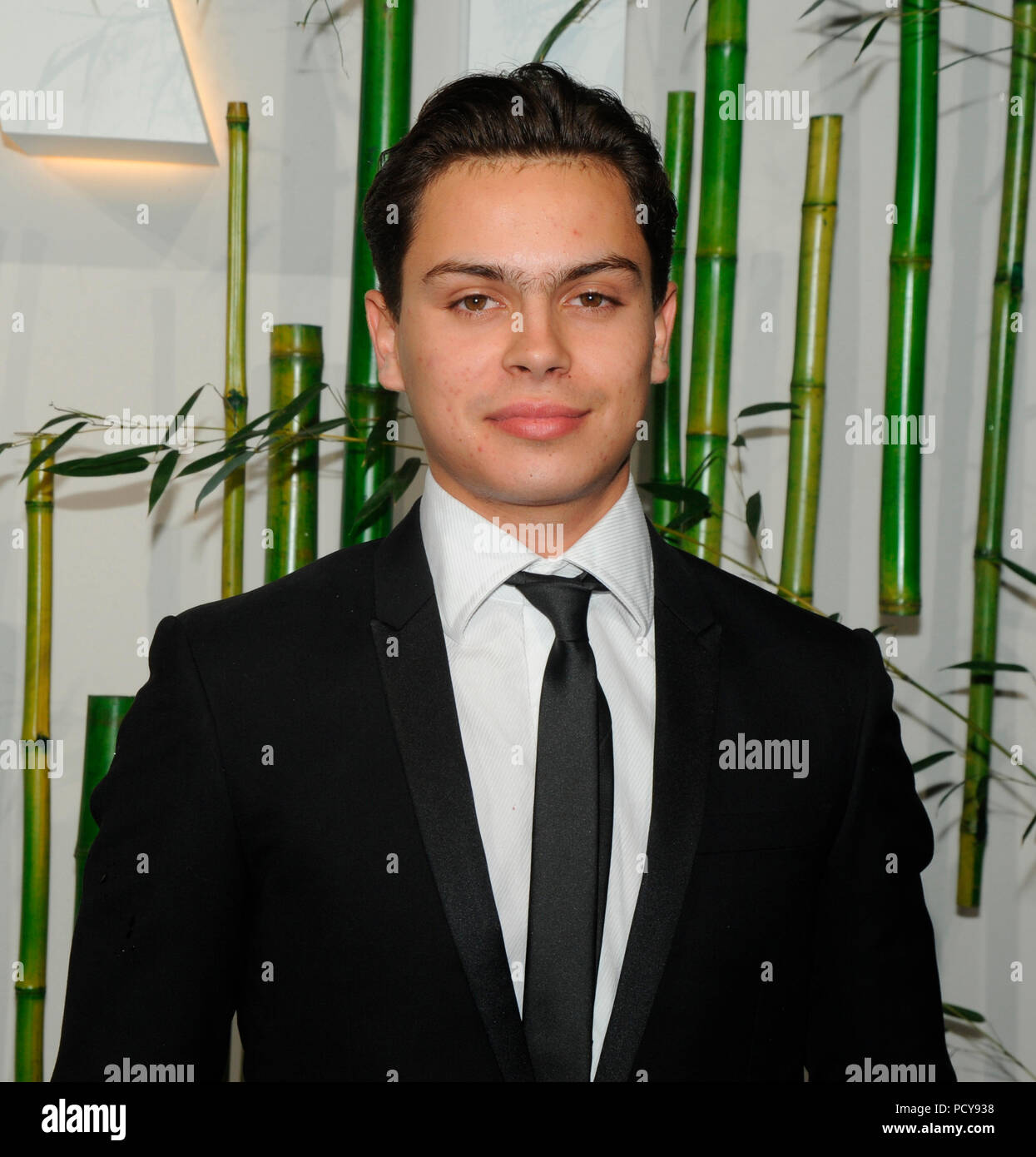 NEW YORK, NY - JUNE 02: Jake T. Austin attends the 2015 Museum of ...