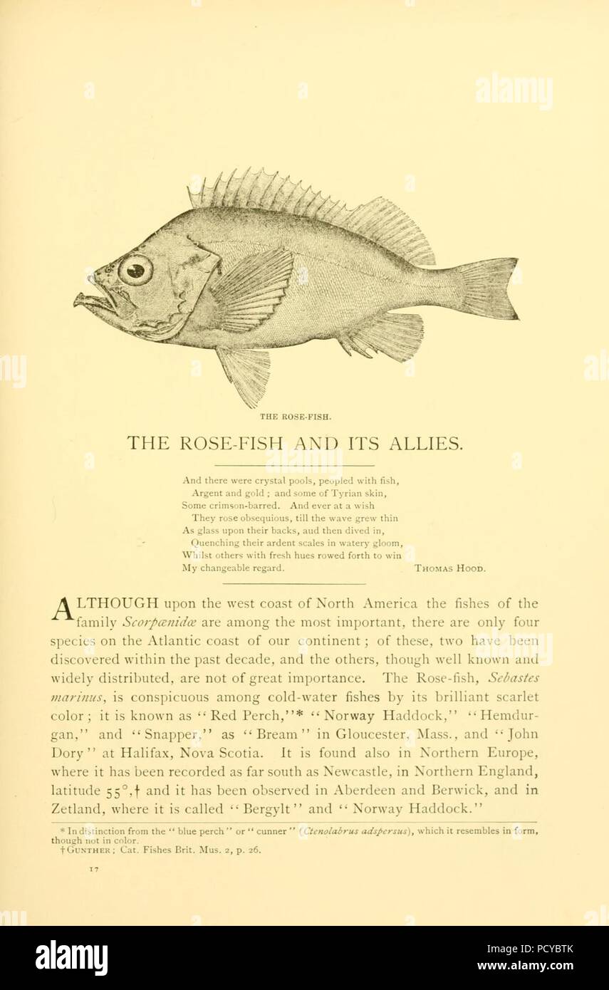 Page 257 hi-res stock photography and images - Alamy