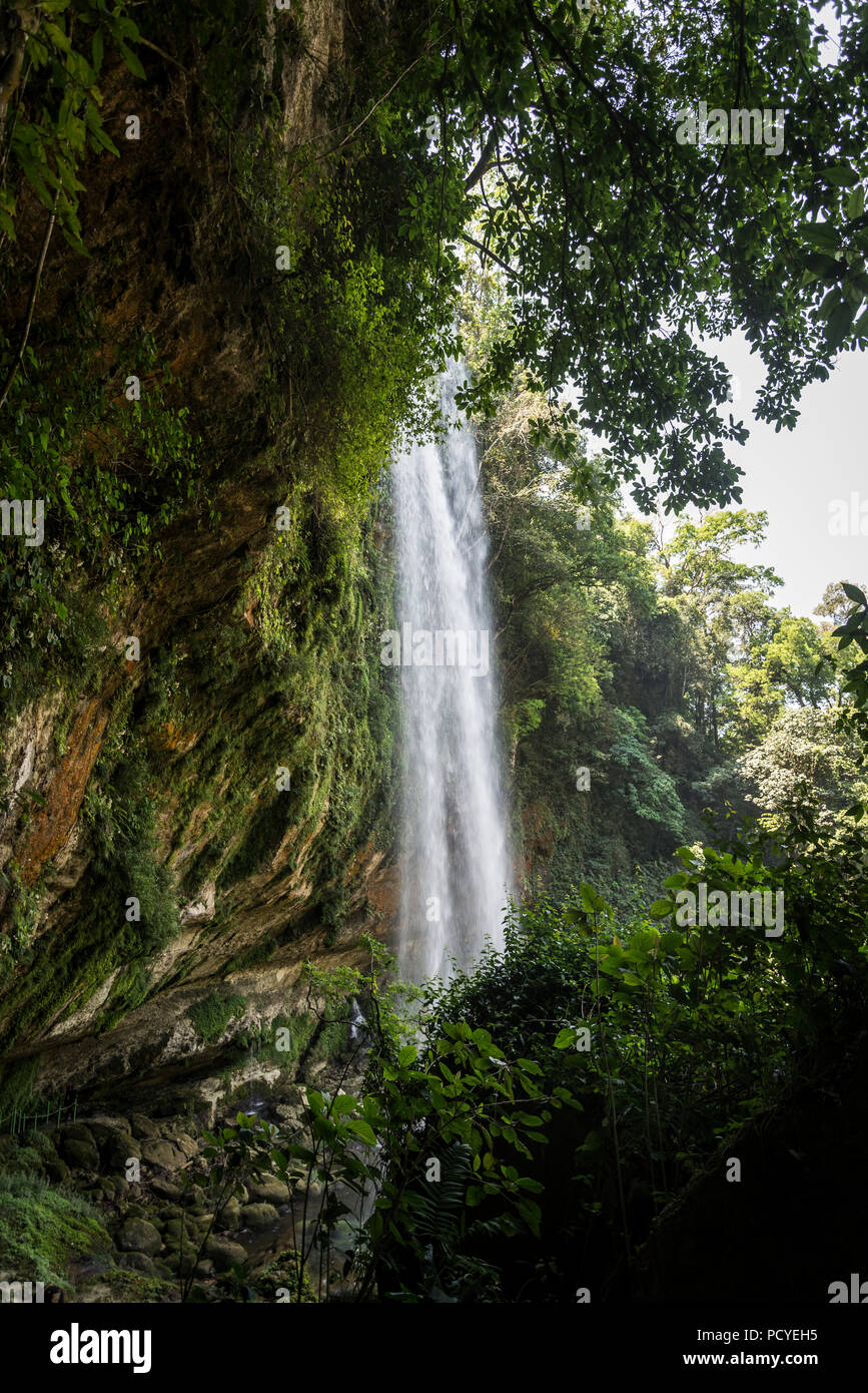 Cascada de Misol-Ha, Chiapas, Mexico Stock Photo - Alamy