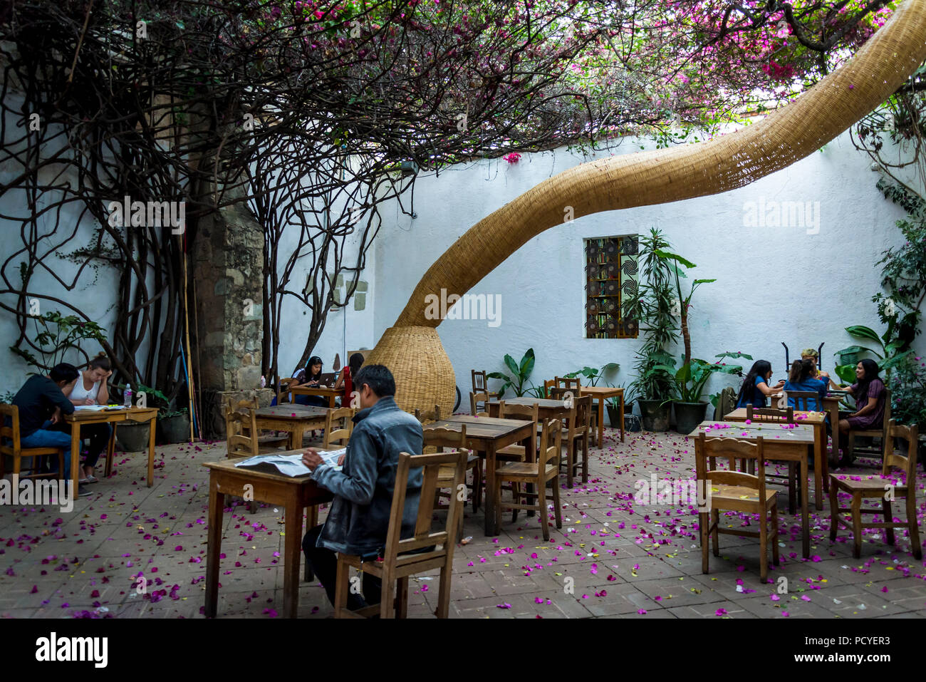 Mexico central library hi-res stock photography and images - Alamy