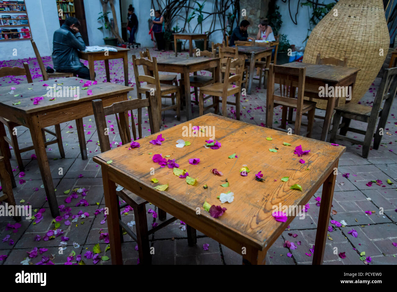 Central Public Library, Courtyard with fallen jacaranda flowers, Oaxaca ...