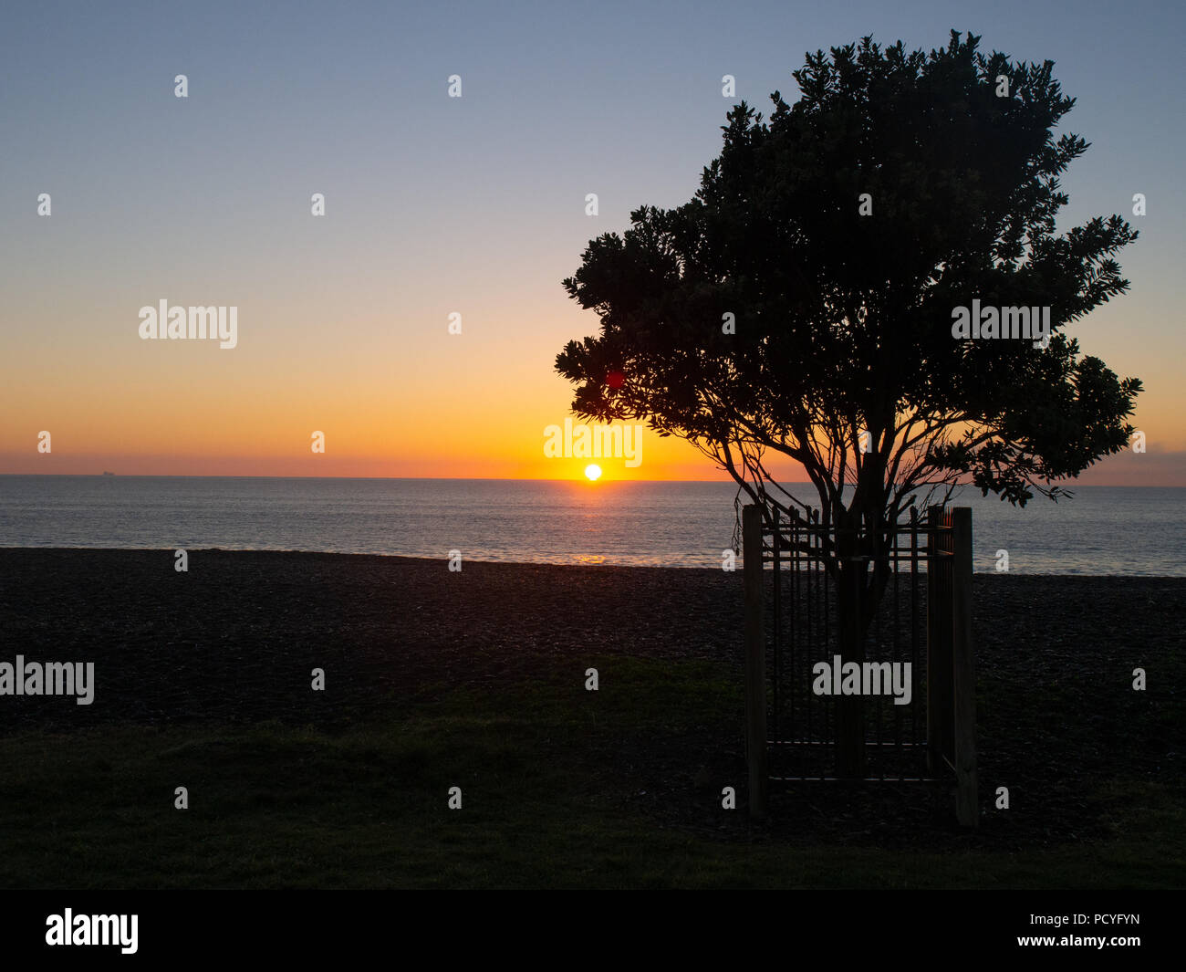 Single Tree On The Beach In The Sunrise Stock Photo - Alamy