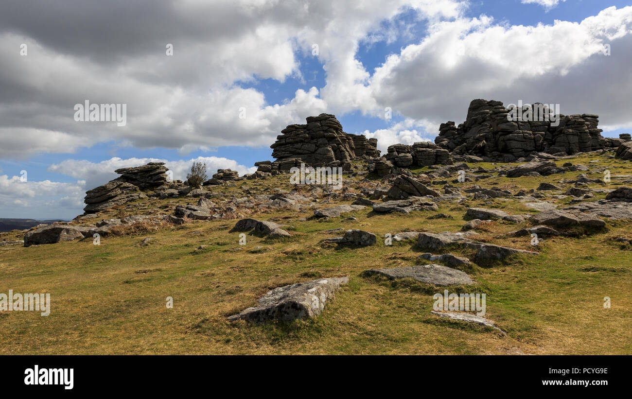 Combestone Tor, an impressive granite outcrop high on Dartmoor, on a ...