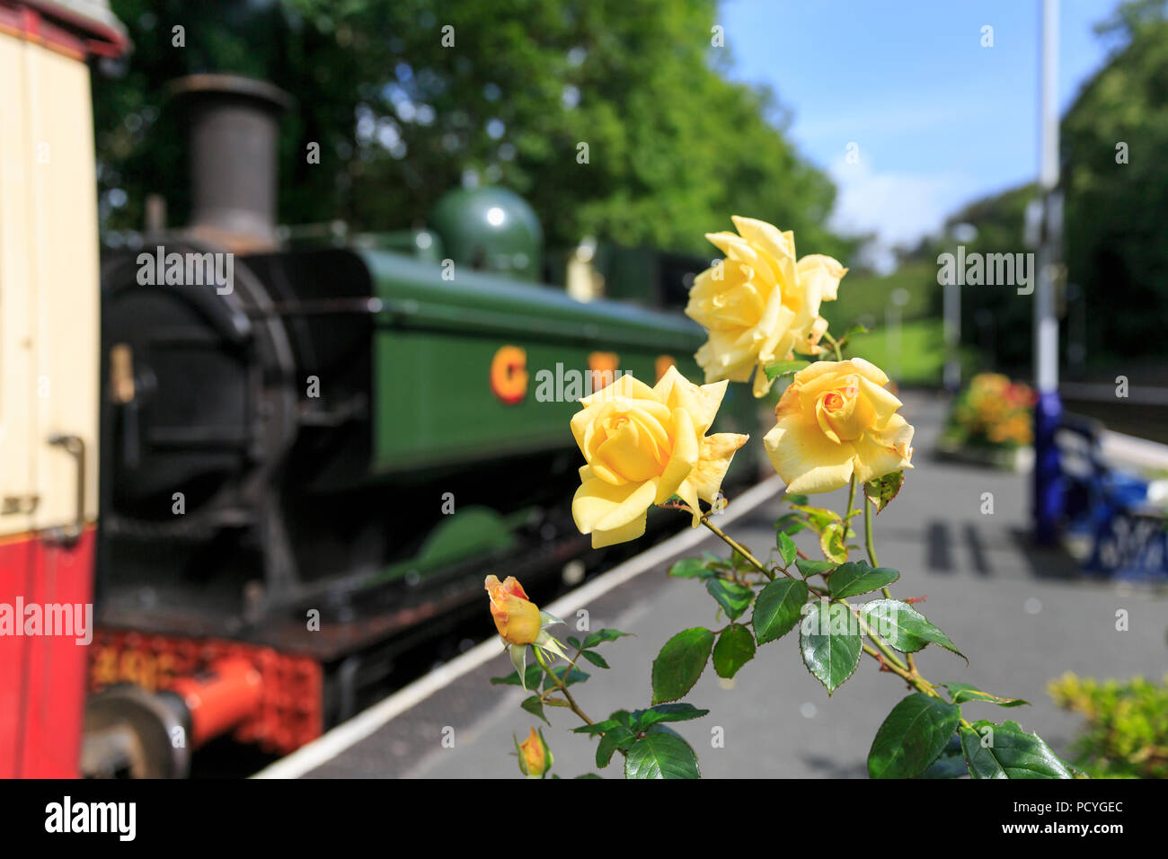 A steam train arrives at Bodmin Parkway Station, Cornwall, on the ...