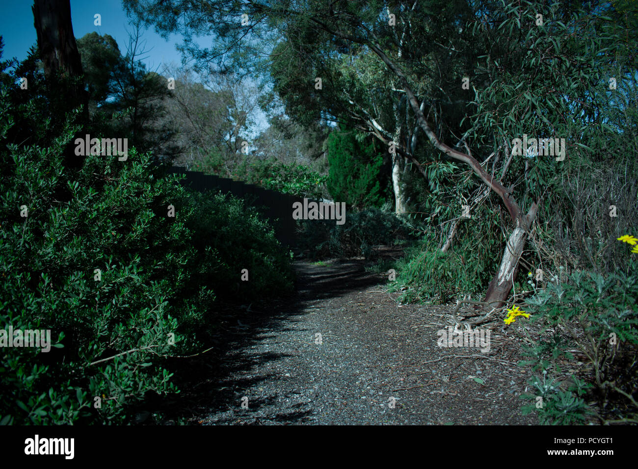 Nature walk hi-res stock photography and images - Alamy