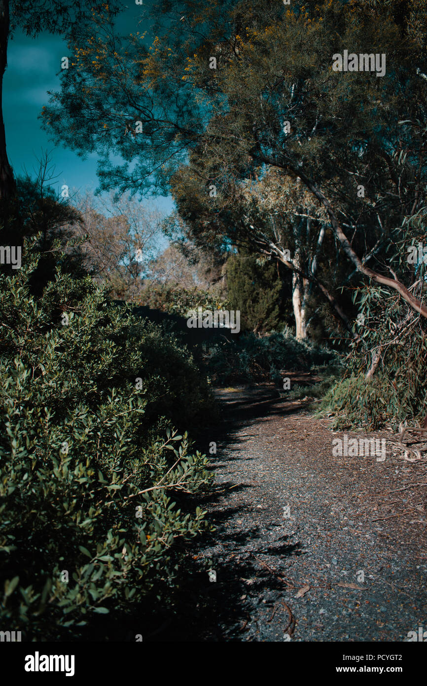 Nature walk hi-res stock photography and images - Alamy