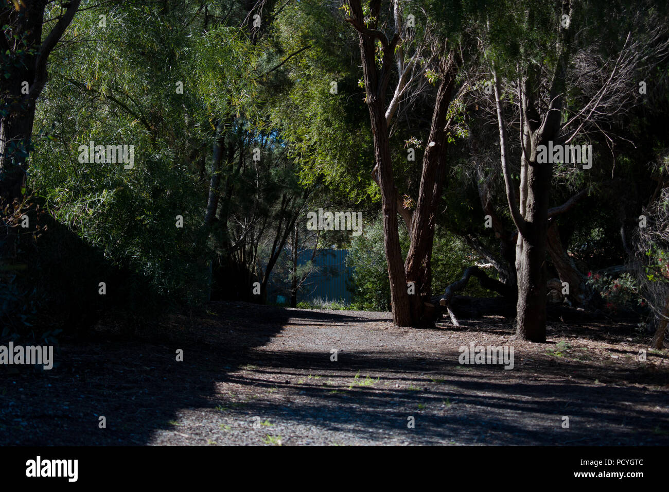 Nature walk hi-res stock photography and images - Alamy