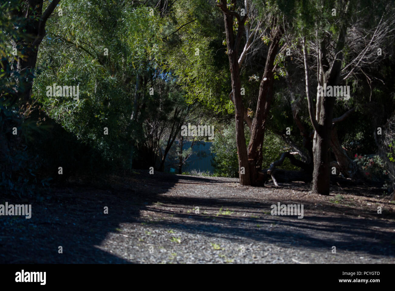 Nature walk hi-res stock photography and images - Alamy