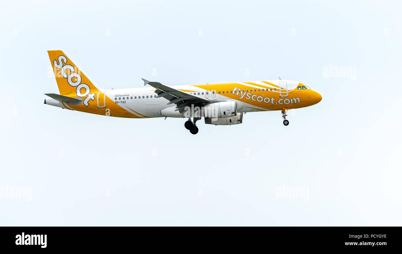 Flyscoot airplane A320 of Singapore Airlines landing at Tan Son Nhat ...