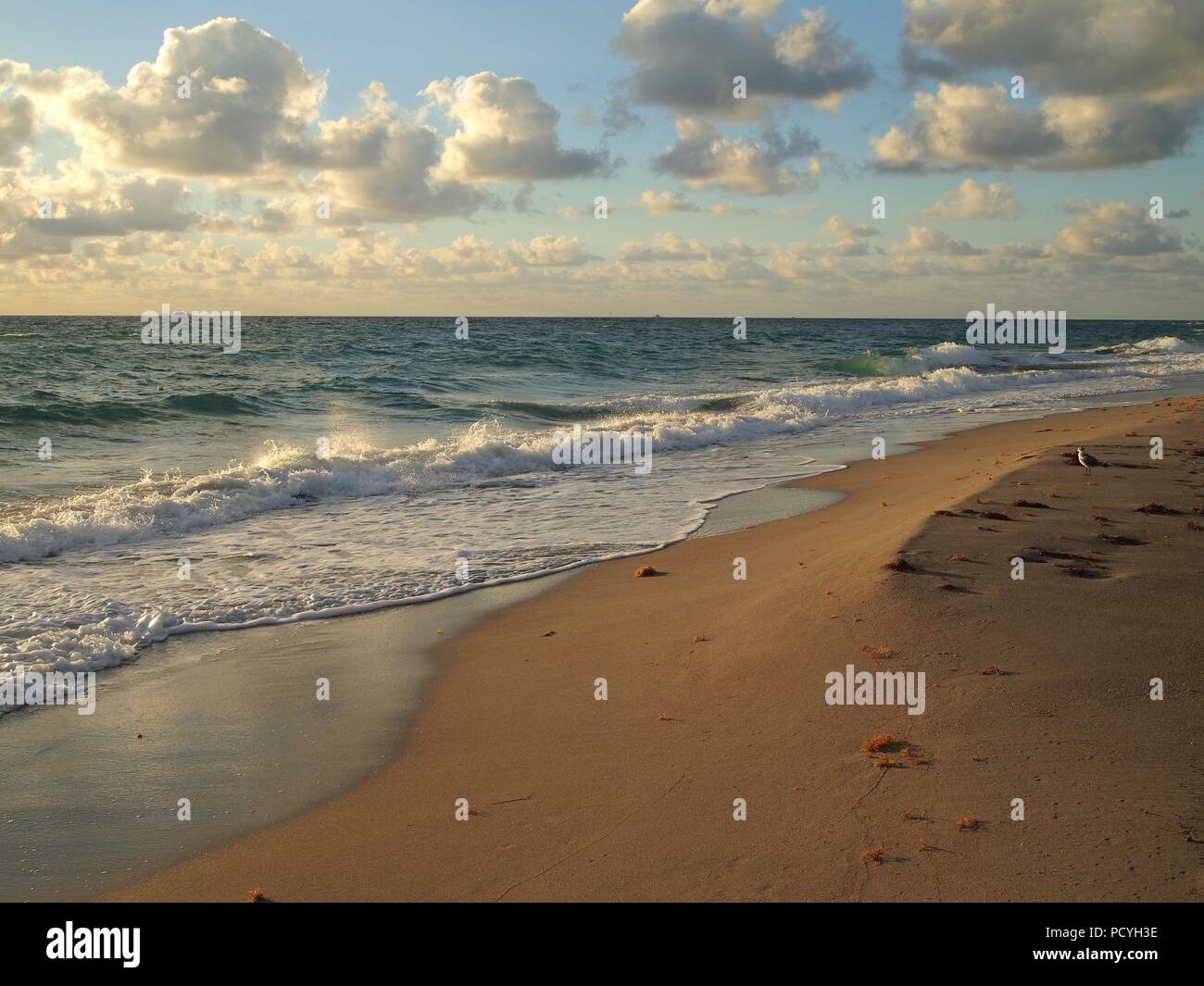 Gentle slope to ocean hi-res stock photography and images - Alamy