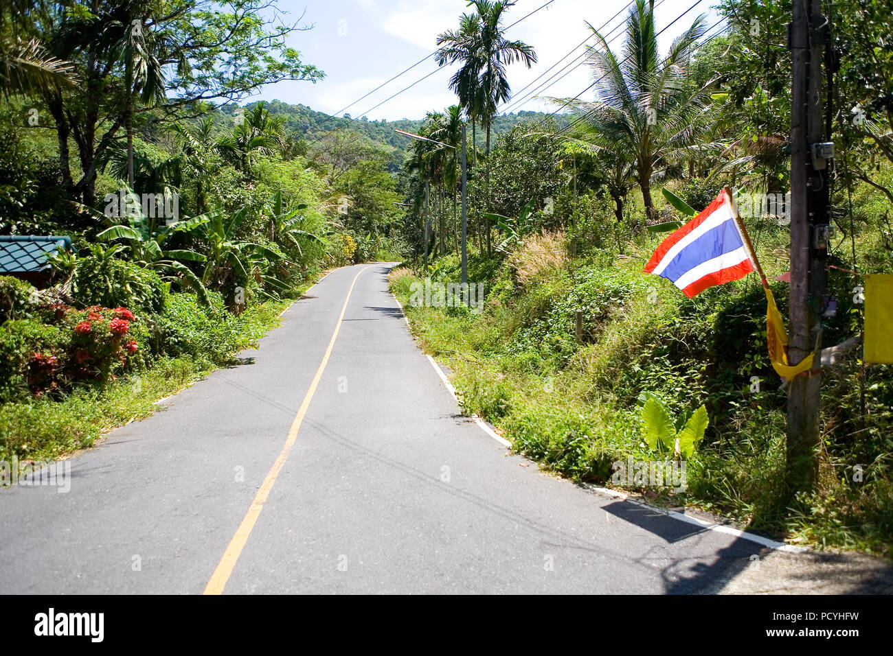 Asphalt road in the jungle, a Thai flag is set on the roadside. Travels ...