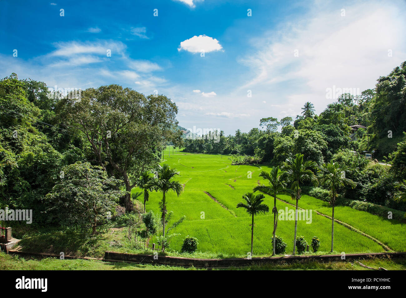 Beautiful landscape of Uva province in Sri Lanka Stock Photo - Alamy