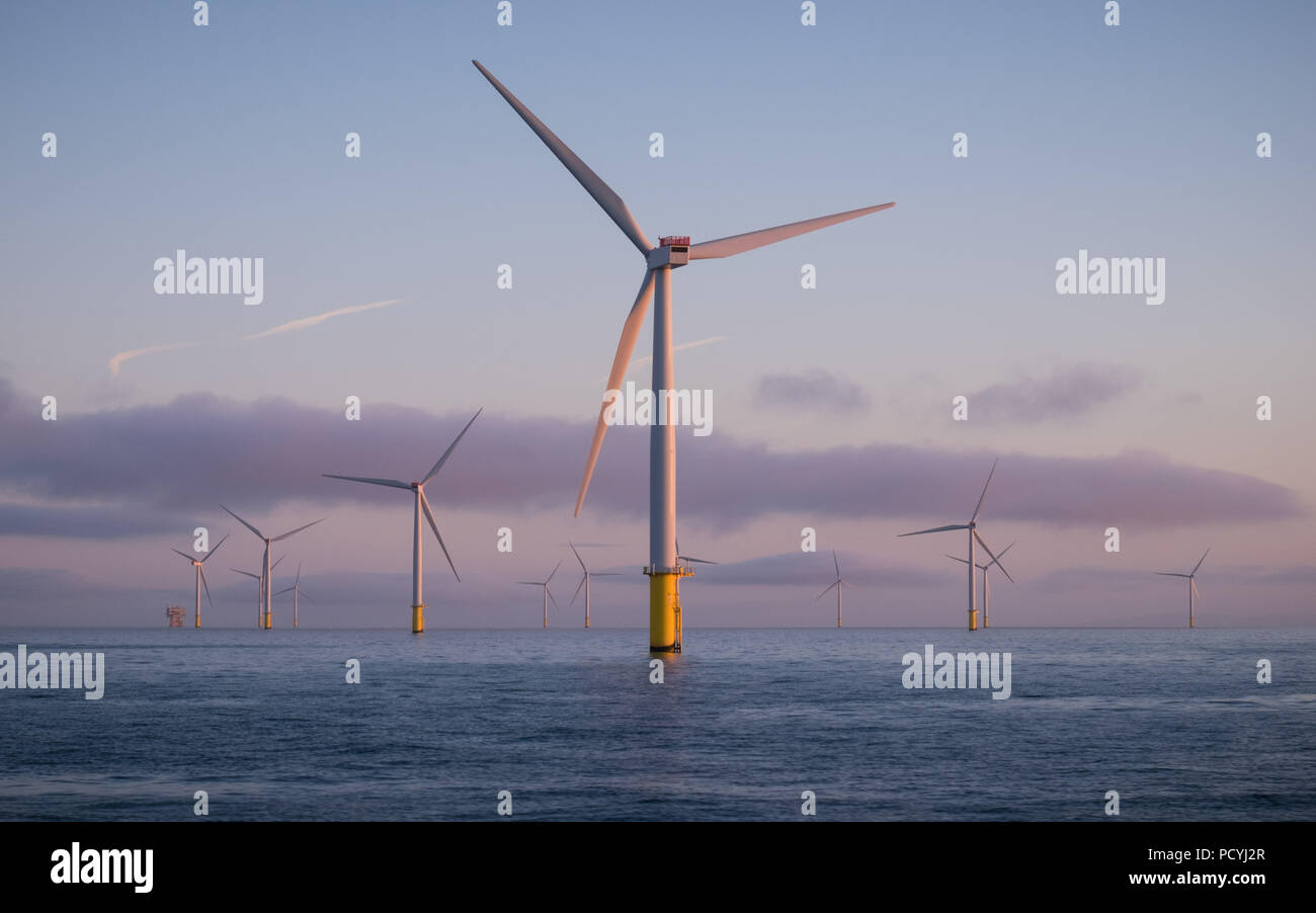 Offshore wind turbines on Walney Offshore Wind Farm at dawn in the ...