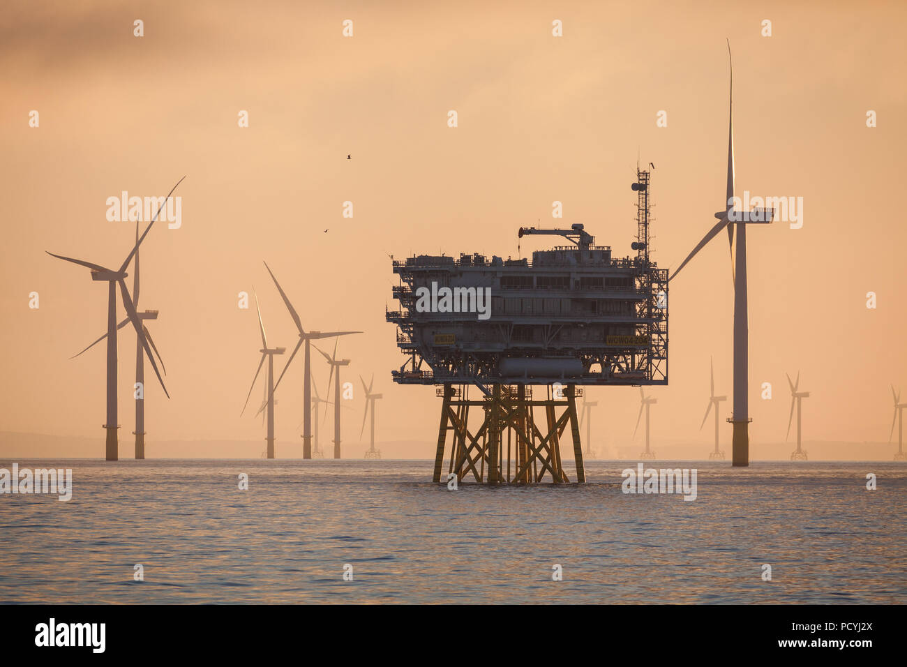 Offshore wind turbines on Walney Extension Offshore Wind Farm at dawn ...