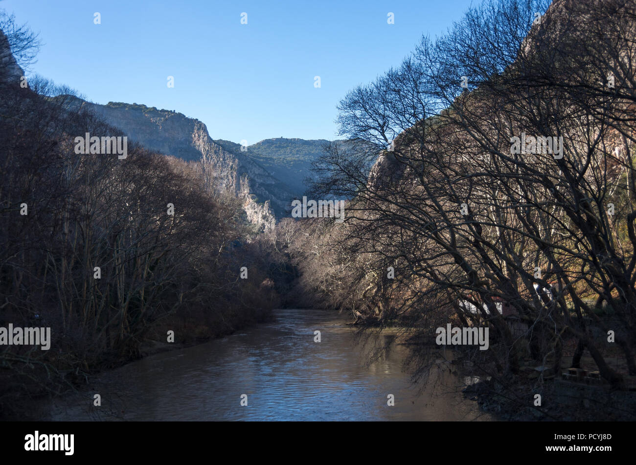 The river Pinios with plane trees on its banks and cloudy sky. In the ...