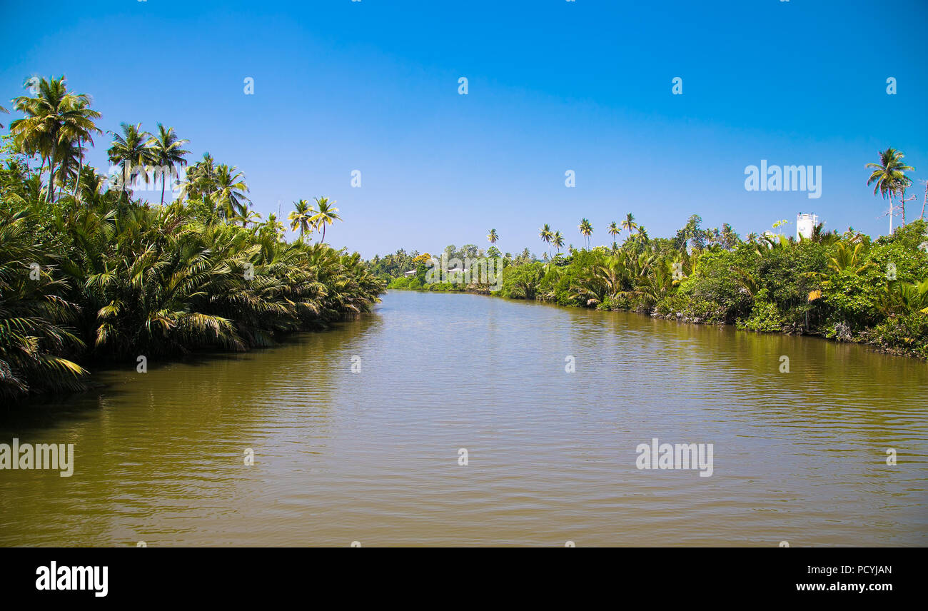Tropical river flows through mangrove trees in northern Palawan ...