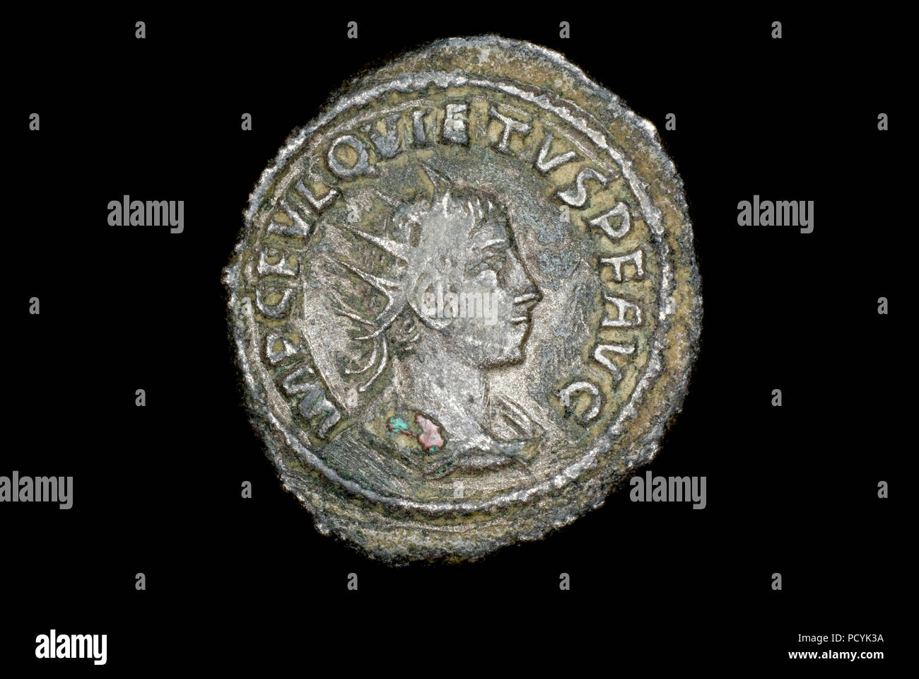 Emperor quietus hi-res stock photography and images - Alamy