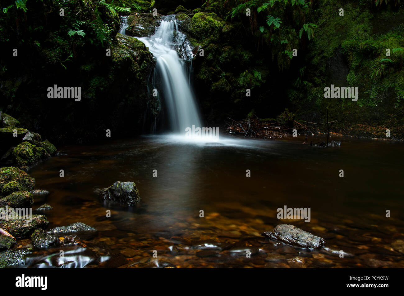 Puck's Glen High Resolution Stock Photography and Images - Alamy