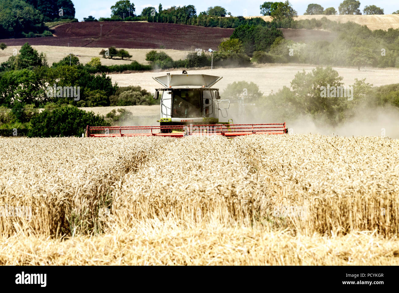 Great Brington, Northamptonshire, UK. 4th August 2018. Farm hands ...