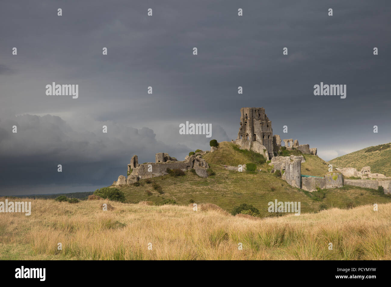 A moody view of Corfe Castle at Wareham in Dorset Stock Photo - Alamy