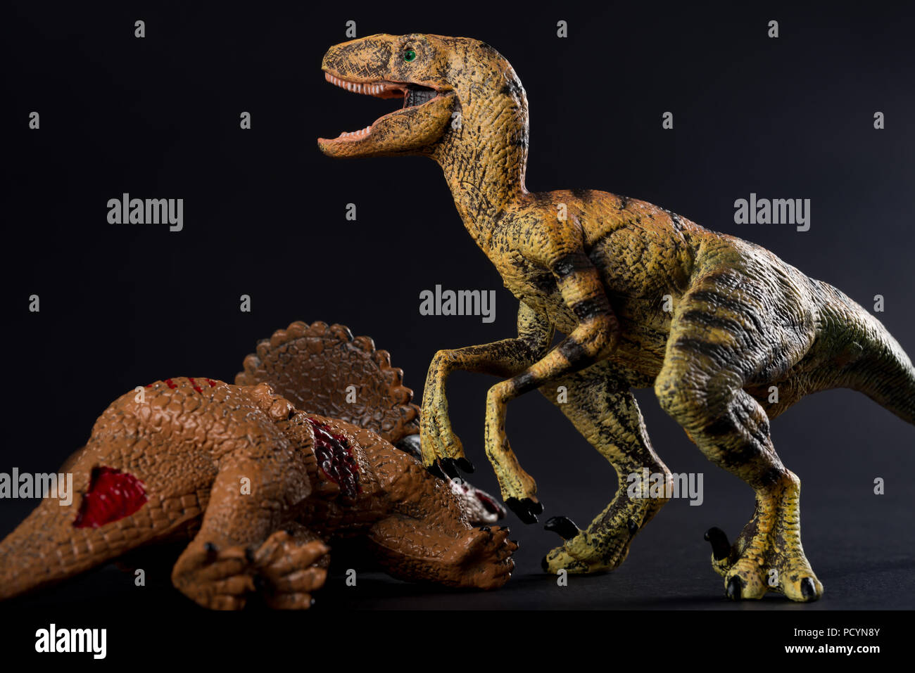 Dead triceratops hi-res stock photography and images - Alamy