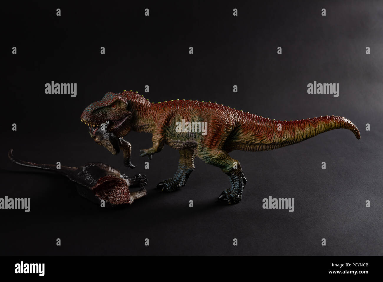 tyrannosaurus with a dinosaur body nearby on dark background Stock ...
